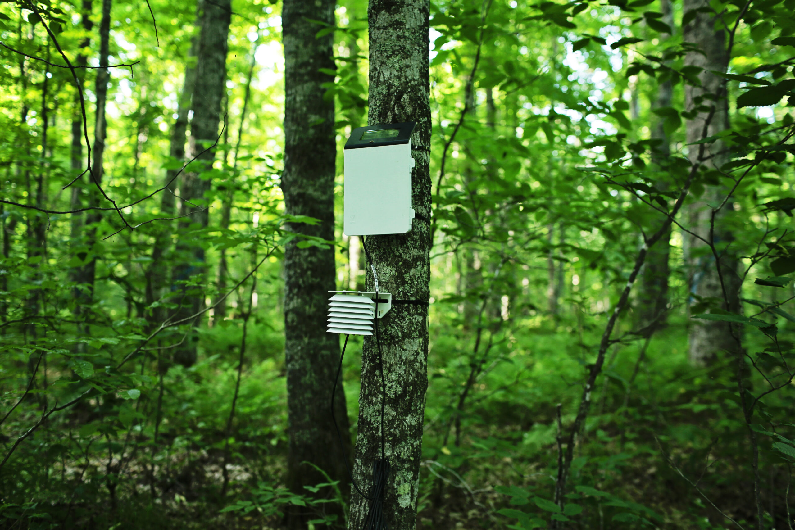 CTIA Wireless Foundation - Home